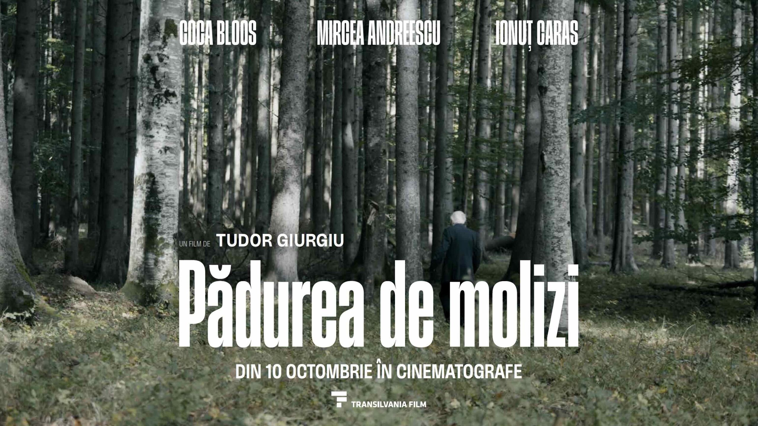 PĂDUREA DE MOLIZI - în programul ZFR XI, COPRODUCȚII România - Moldova ...